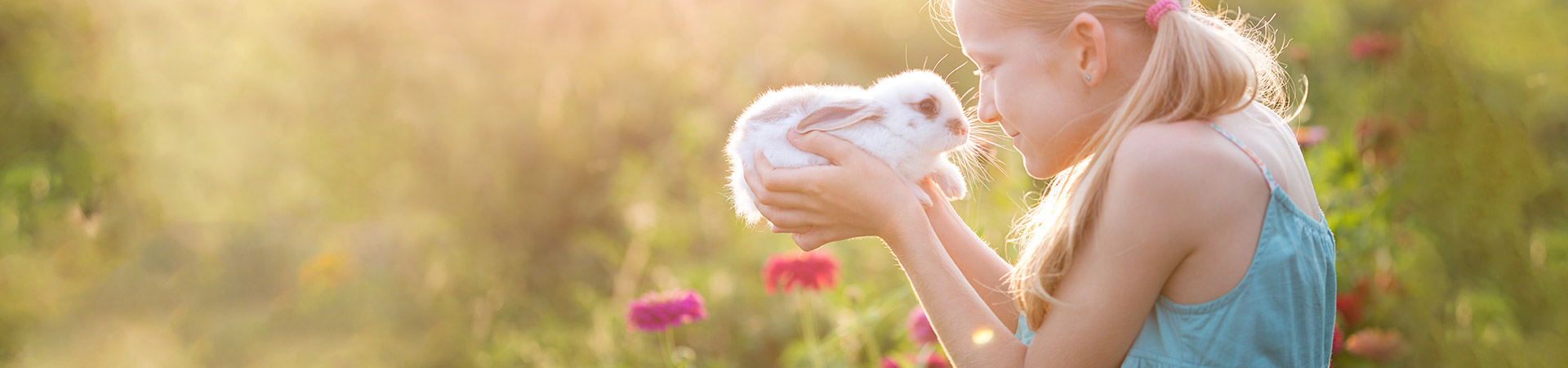 Apply Now - Rabbit Pet Therapy